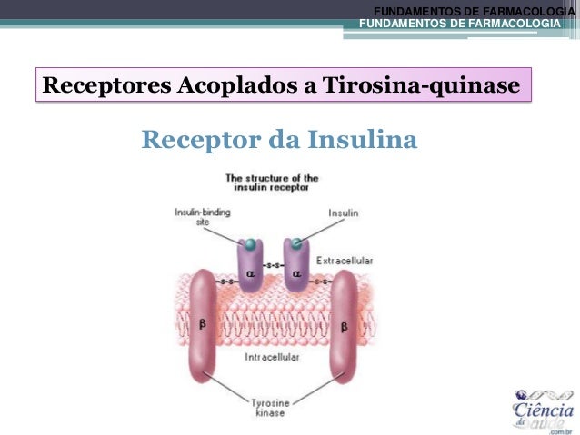 Bases da farmacologia