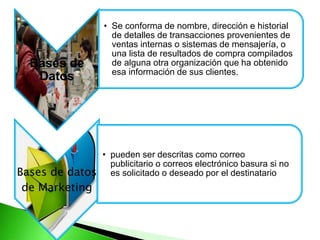 Bases de datos en el marketing | PPTX