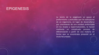 Bases de la genética | PPTX
