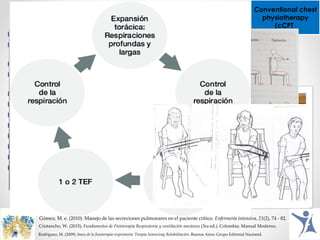 bases_fisioterapia_respiratoria.pdf