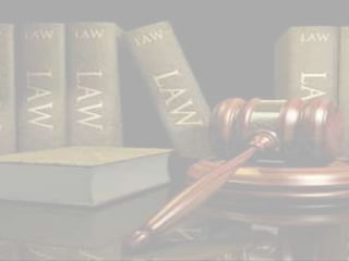 Bases for legal systems | PPTX