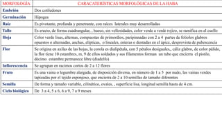BA, sesión 1. Introducción.pptx- botanica agricola | PPTX