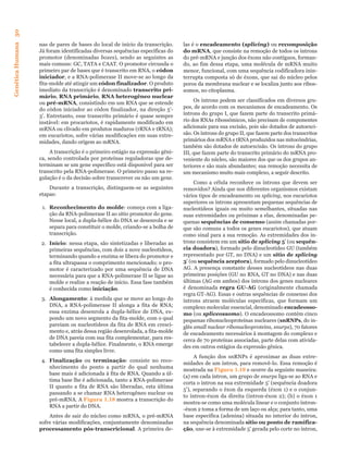 Bases moleculares da hereditariedade - Leitura complementar | PDF