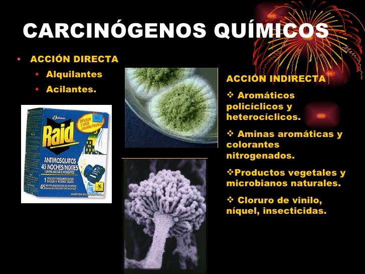Bases moleculares de la carcinogénesis