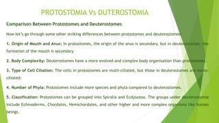 Bases of classification_nasif_sadat.pptx
