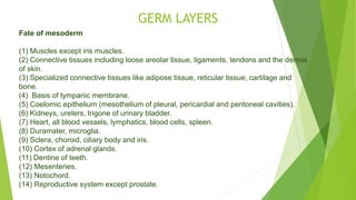 Bases of classification_nasif_sadat.pptx