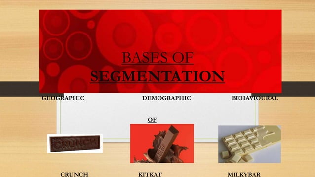 Bases of segmentation | PPT