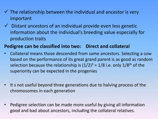 Bases of selection family | PPTX