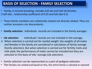 Bases of selection family | PPTX