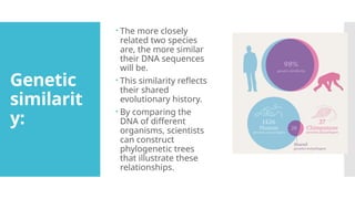 THE BASES ON THE THEORIES OF EVOLUTION.pptx