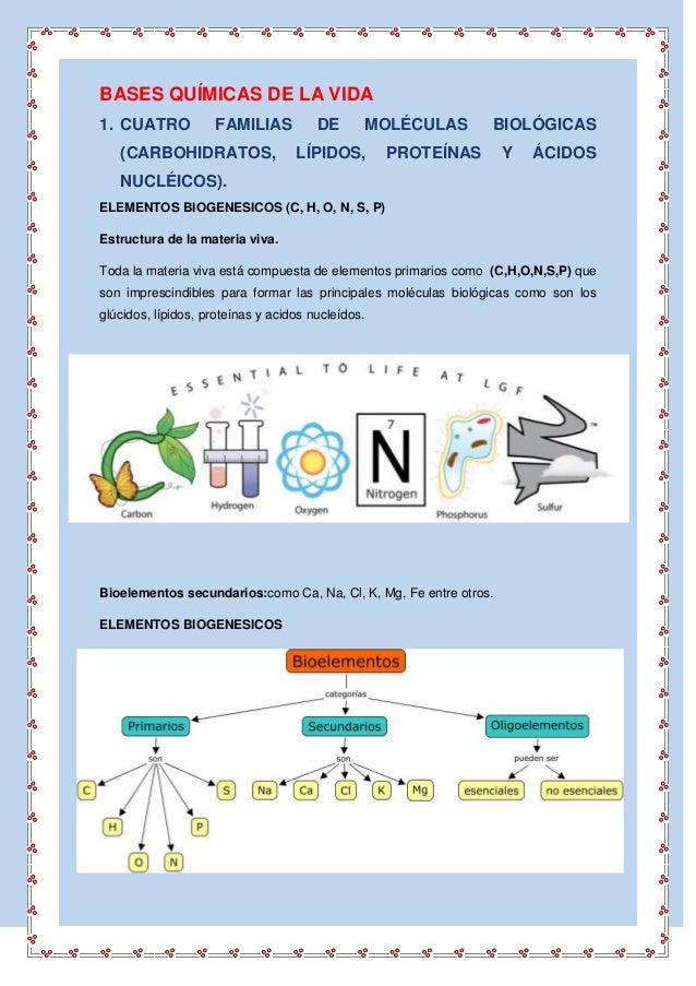 Bases químicas de la vida