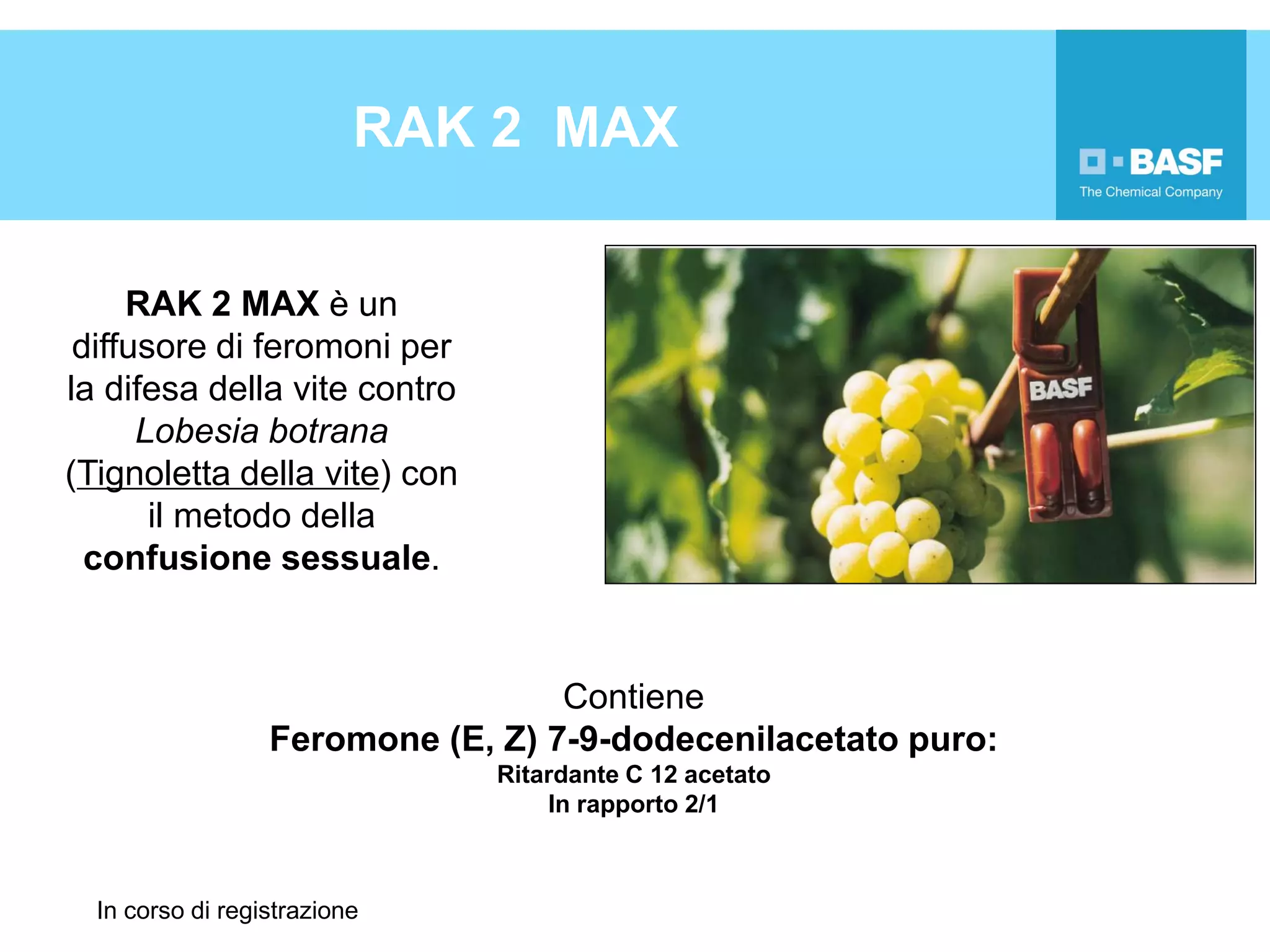 Basf rak-2-max-fmv | PDF