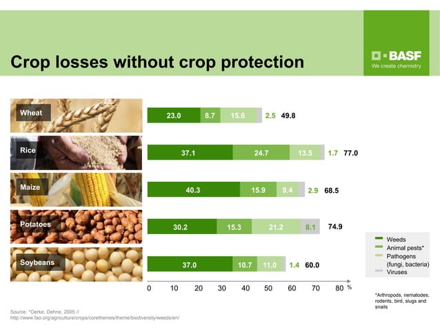 Basf presentation on global challenges and basf | PDF
