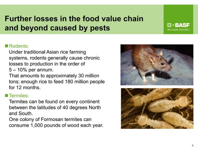 Basf presentation on global challenges and basf | PDF