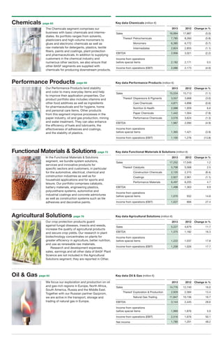 BASF 2013 Sustainability Report | PDF