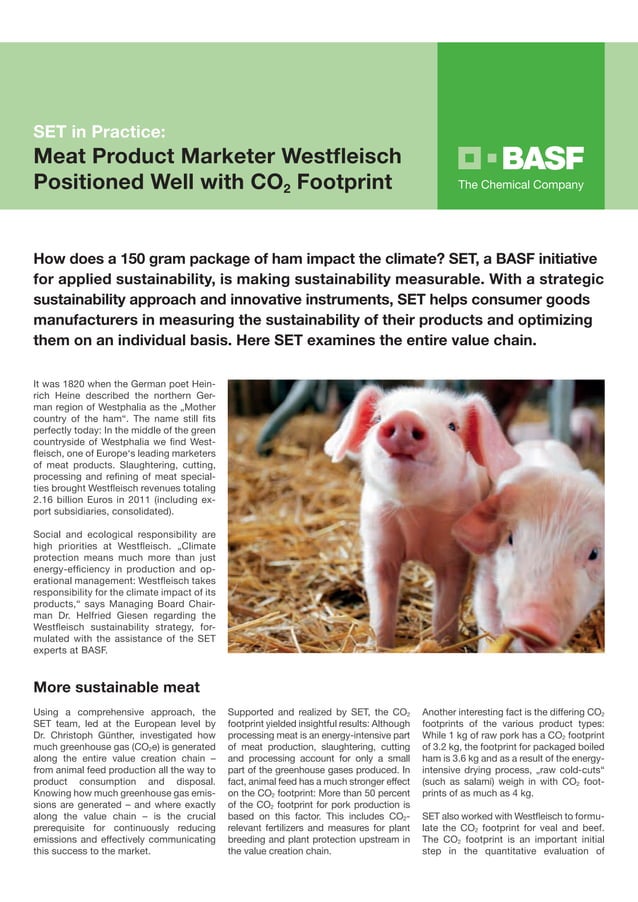 Basf success story westfleisch | PDF | Environment | Science