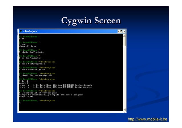 Bash Scripting Ppt