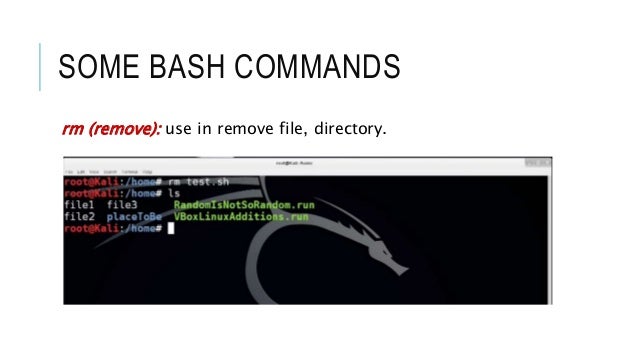 Bash shell scripting
