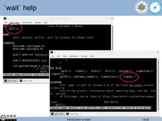 bash_1_2021-command line introduction.pdf | Operating Systems | Computer Software and Applications