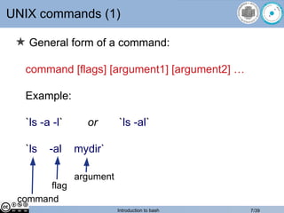 bash_1_2021-command line introduction.pdf | Operating Systems ...