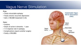 Dr. Bashar Badran. Bio-Stimulation: The Many Wanderings of the Vagus ...