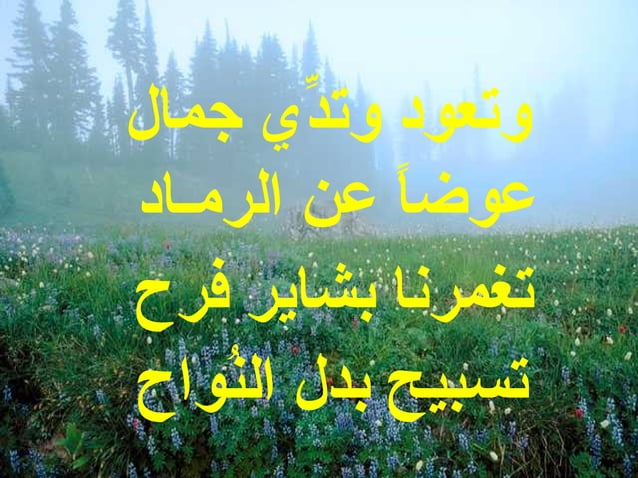 Bashayer fara7 | PPT