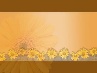 Bashayer fara7 | PPT