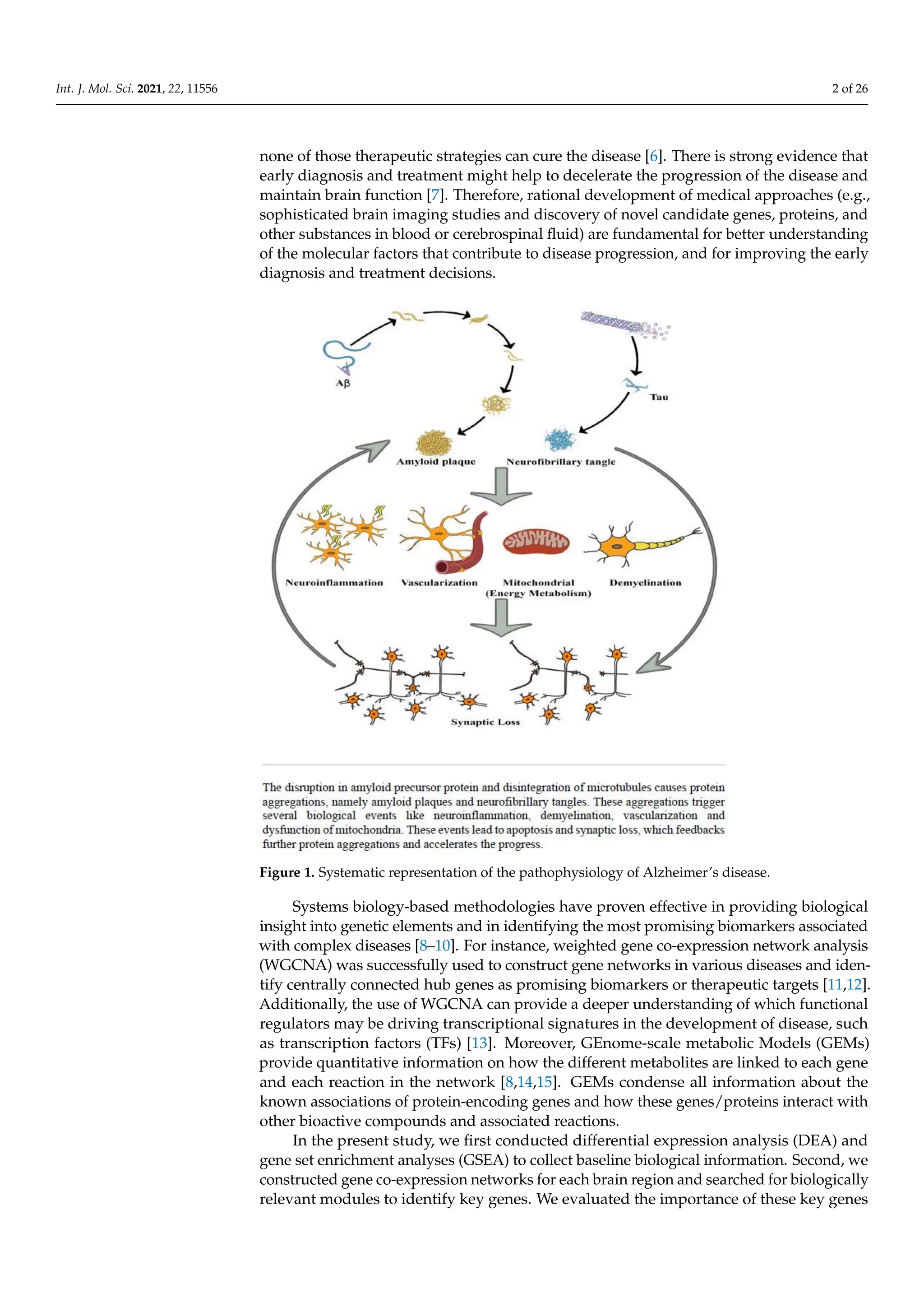 Revealing the Molecular Mechanisms of Alzheimer’s Disease Based on ...