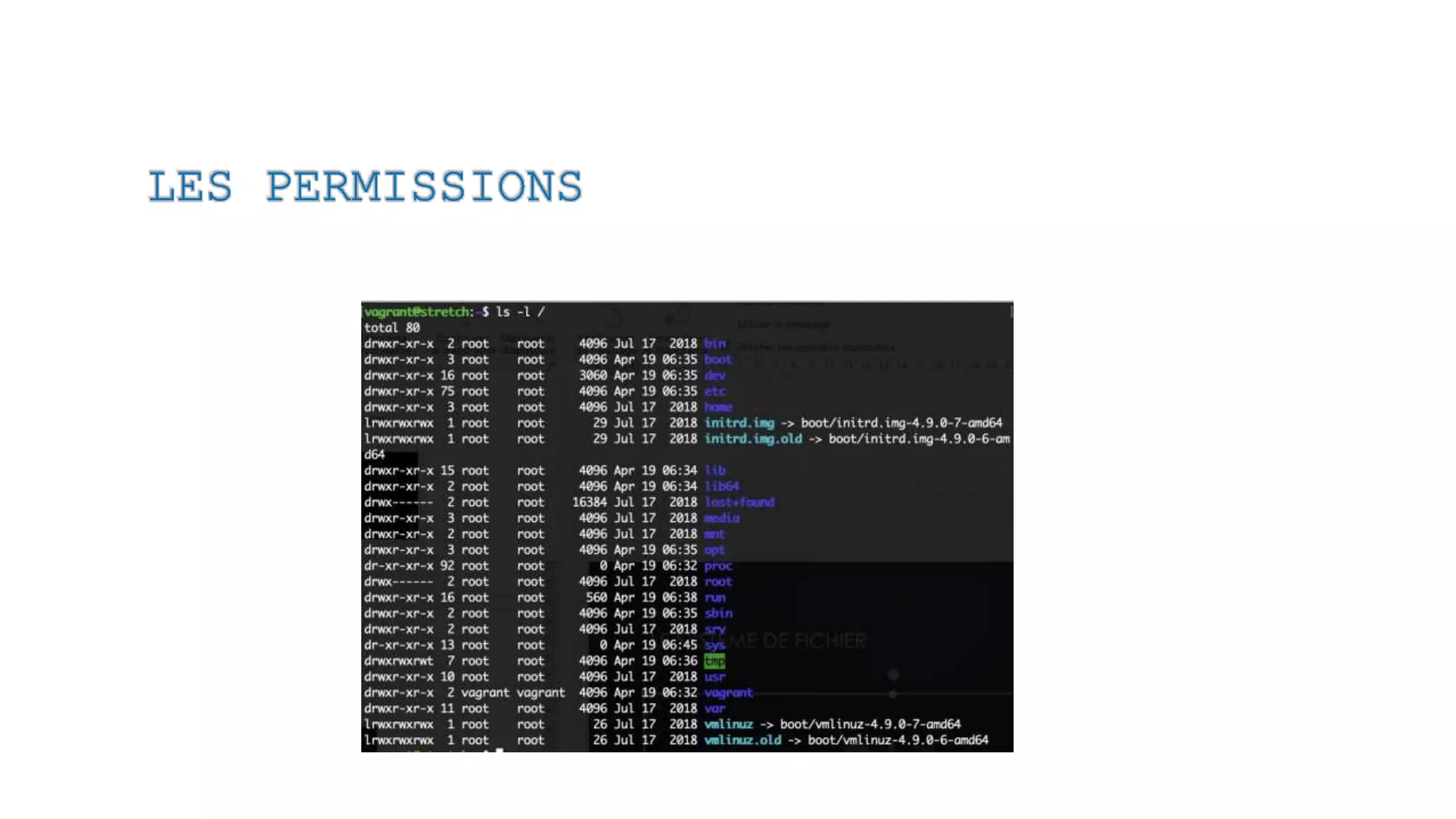 Bash introduction | PPTX