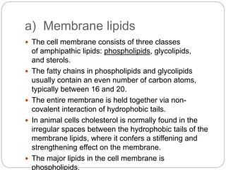 chemical composition of plasma membrane | PPTX