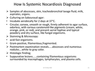 Systemic Nocardiosis | PPTX