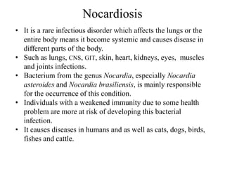 Systemic Nocardiosis | PPT