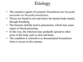 Systemic Nocardiosis | PPT