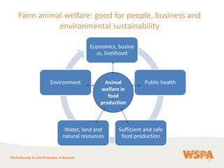 The Benefits of Farm Animal Welfare for Sustainable Food Production | PPTX