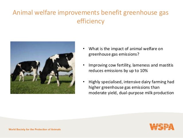 The Benefits Of Farm Animal Welfare For Sustainable Food Production the-benefits-of-farm-animal-welfare-for-sustainable-food-production