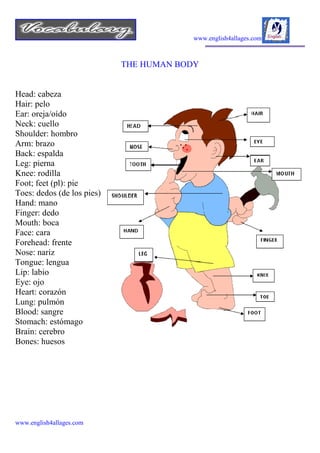 Basic vocabulary. 1 | PDF