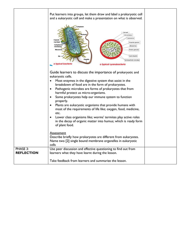 Lesson plan for JHS basic 8 in Ghana sch | PDF | Biological Sciences ...