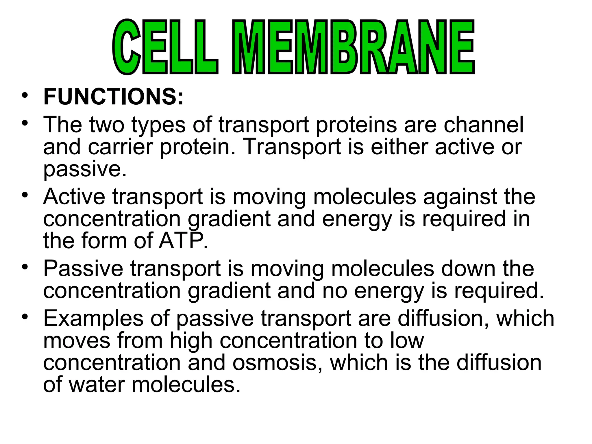 basic-cell-life structure & Eukaryotic vs Prokaryotic | PPT