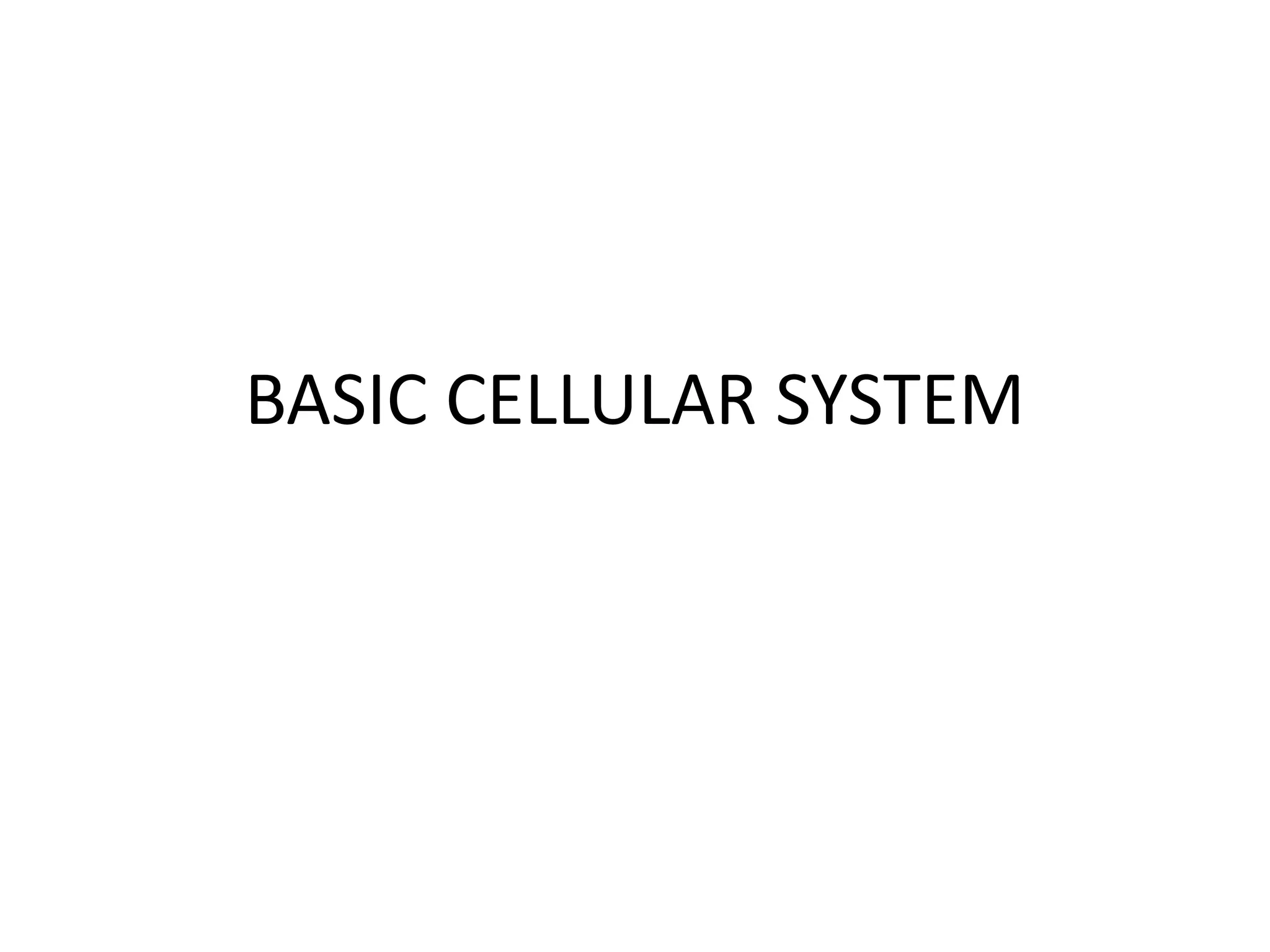 basic-celluar-systefhurdhguudhugudhguugudghum.ppt