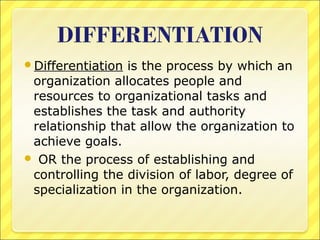 Basic challenge-of-organizational-design meily | PPT