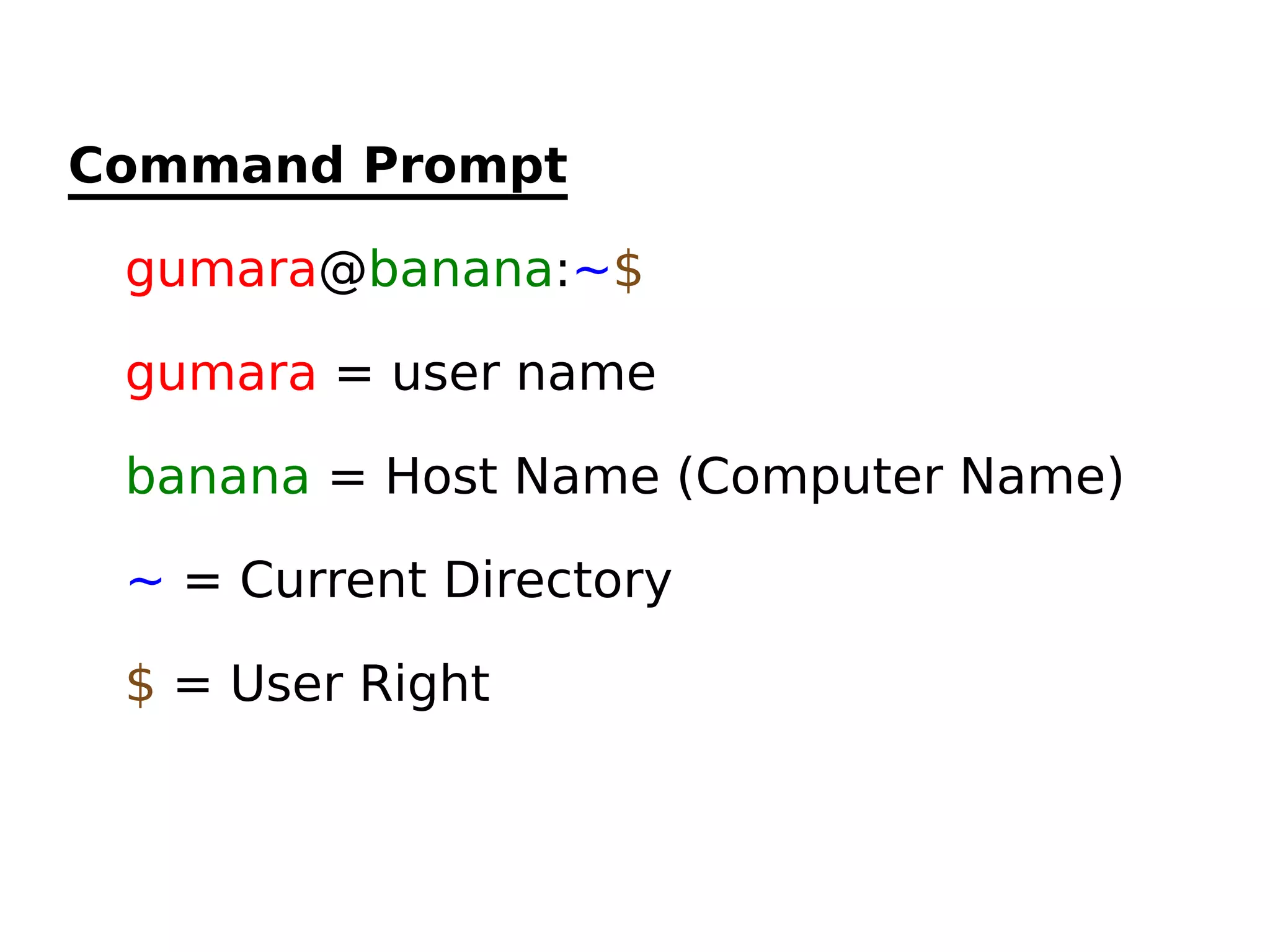 Basic Command | PDF | Operating Systems | Computer Software and Applications