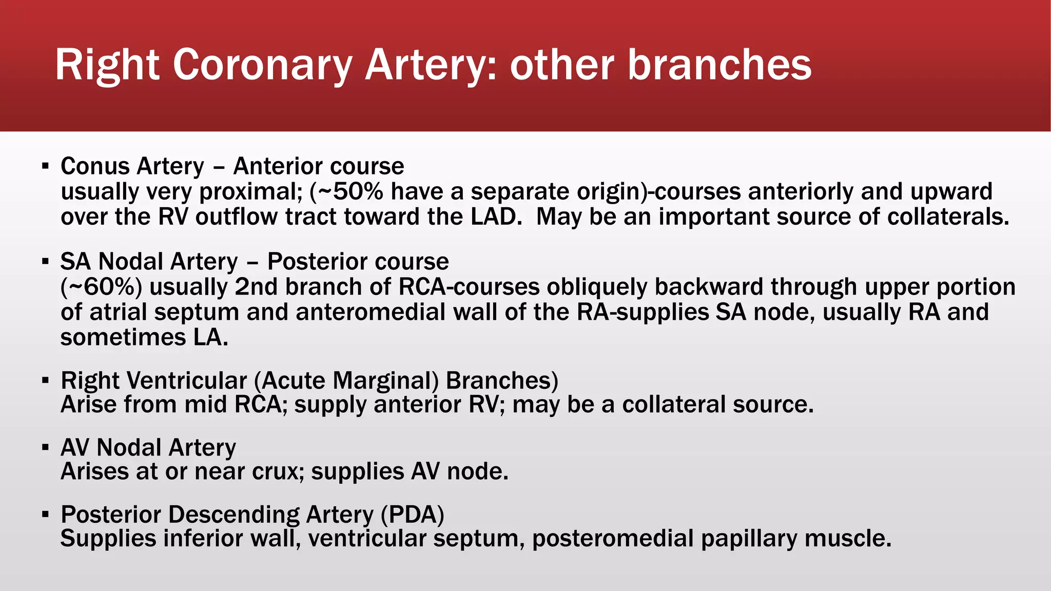 Basic-Coronary-Angiography_All-Slides.pdf | Heart and Cardiovascular ...
