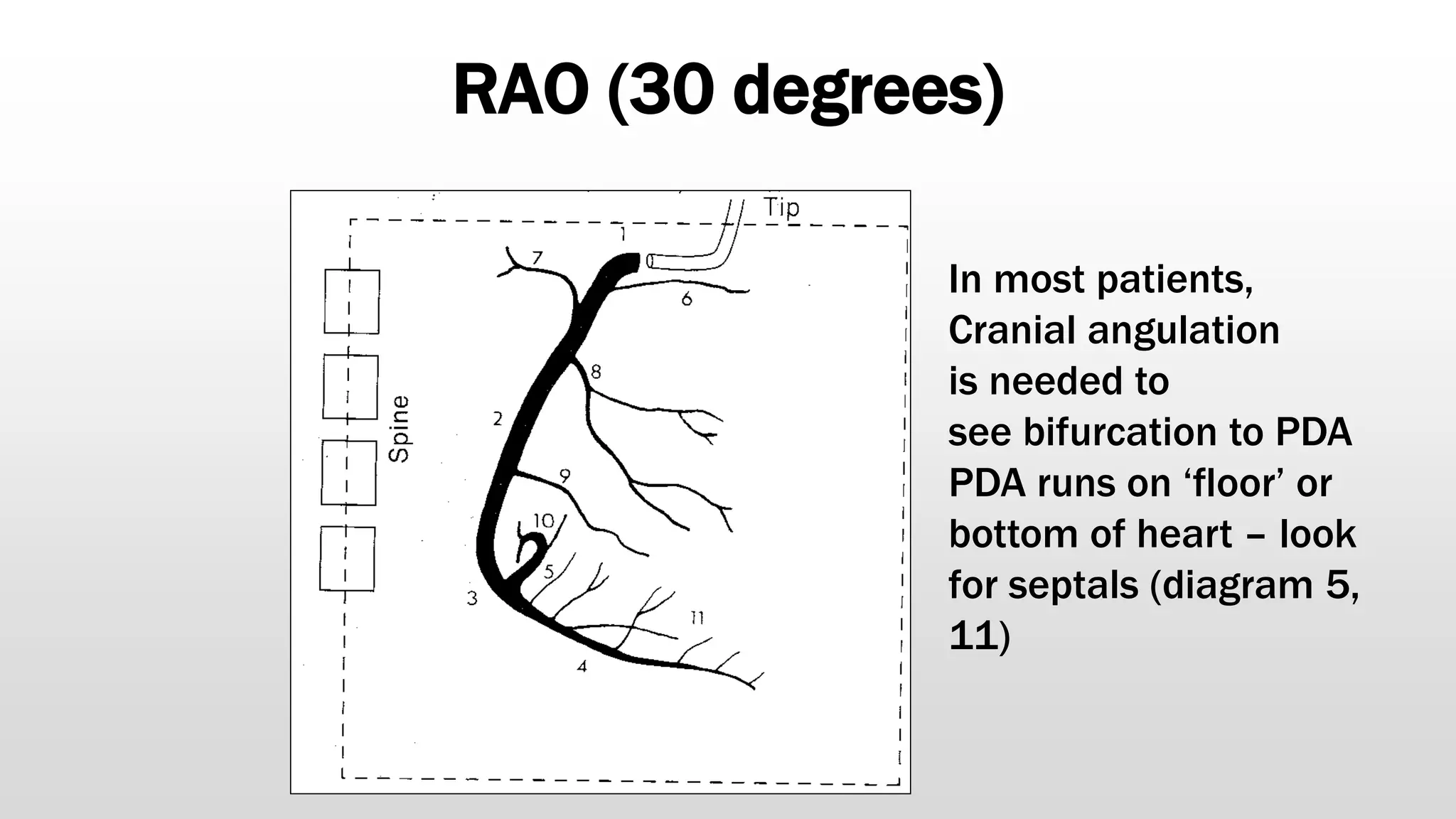 Basic-Coronary-Angiography_All-Slides.pdf