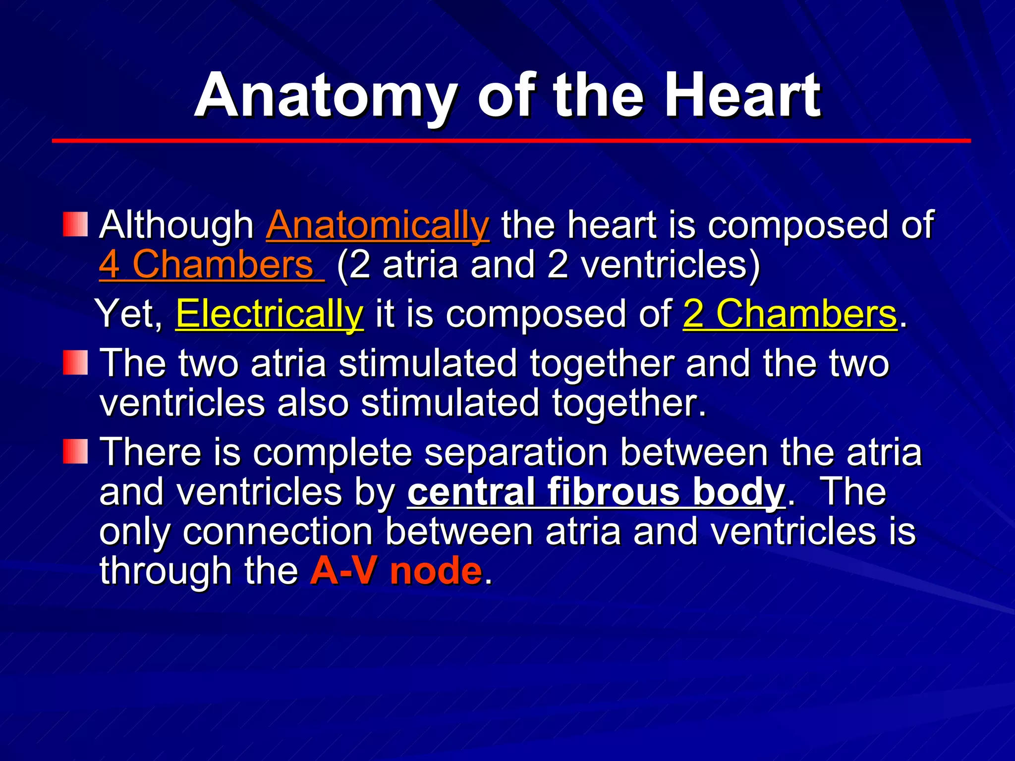 Basic E Undergraduates | PPT