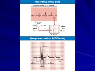 Basic E Undergraduates | PPT