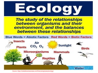 Basic Concepts (Microbial Ecology) | PDF