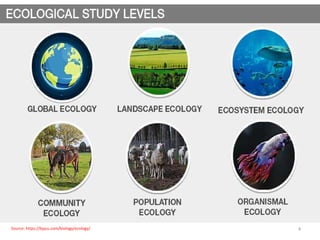 Basic Concepts (Microbial Ecology) | PDF