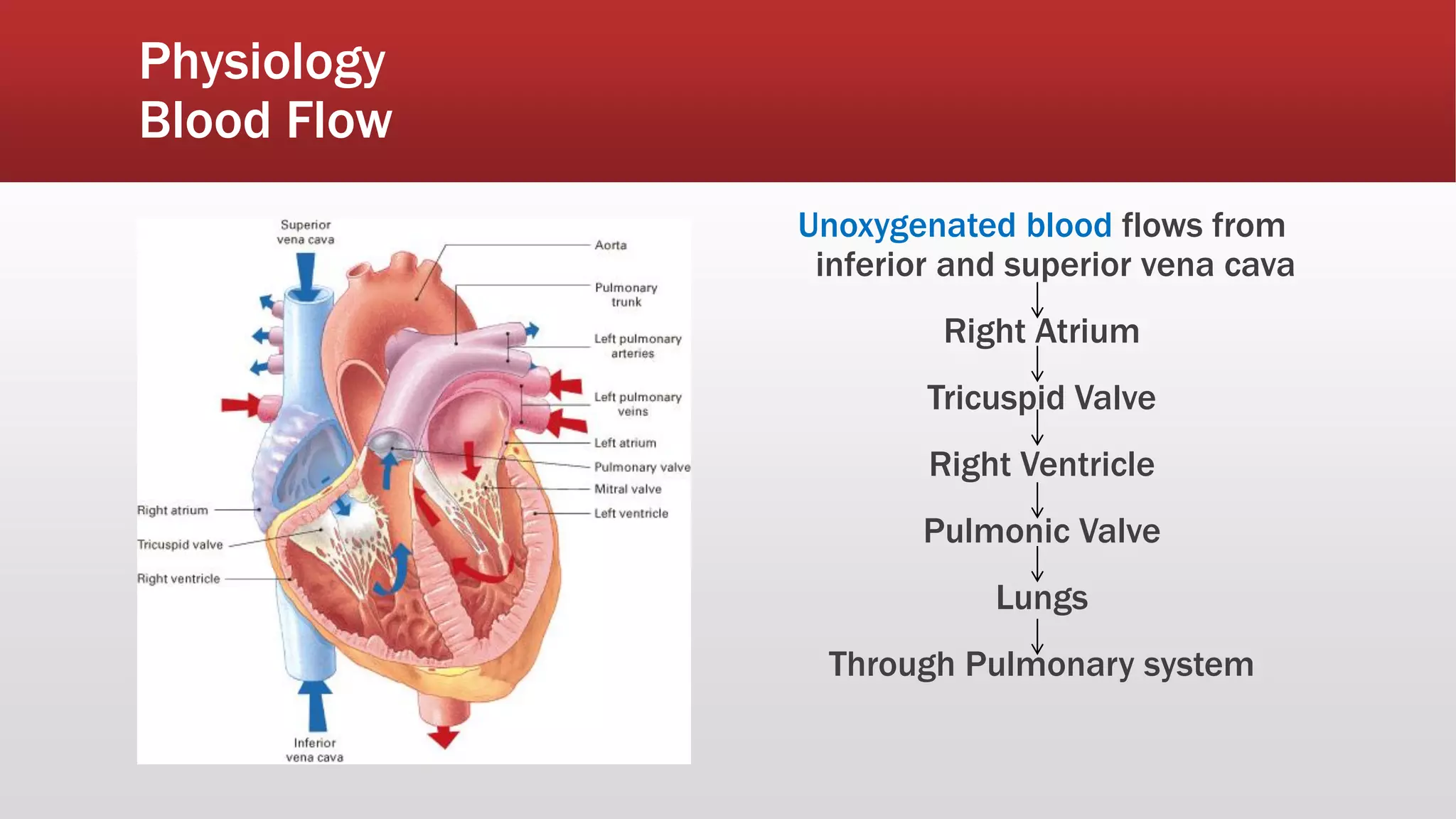 Basic-EKG-Refresher.pdf