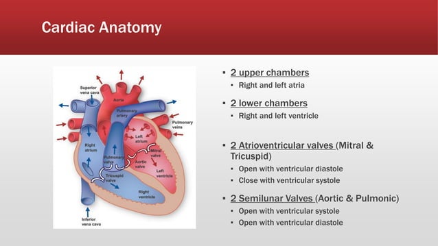 Basic-EKG-Refresher.pdf