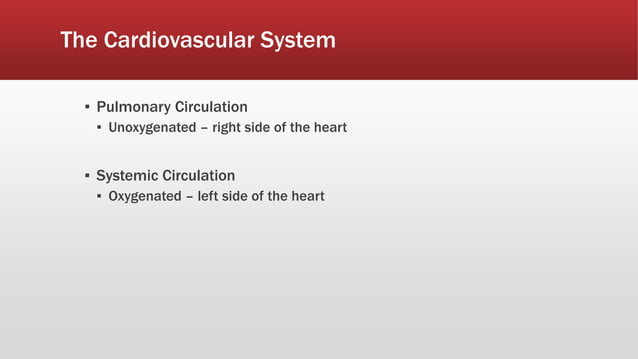 Basic-EKG-Refresher.pdf